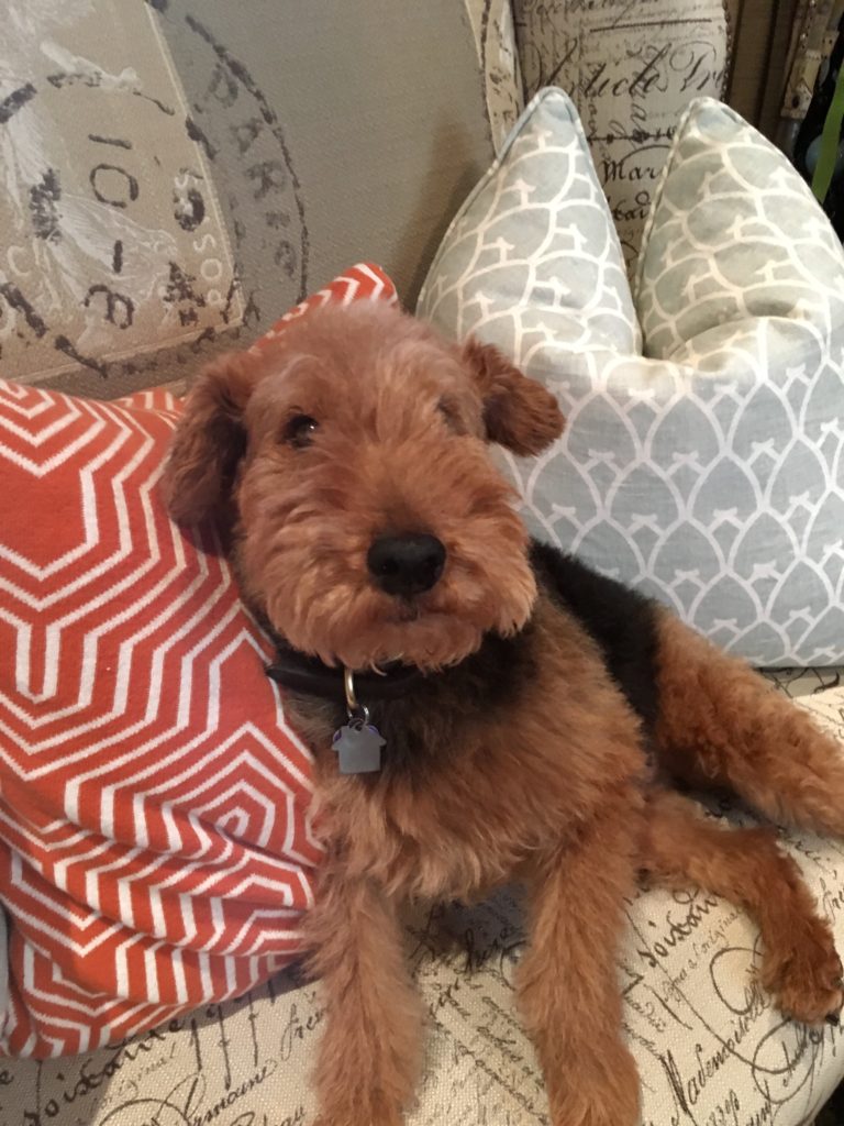 Img 8347 Design Girl Travels